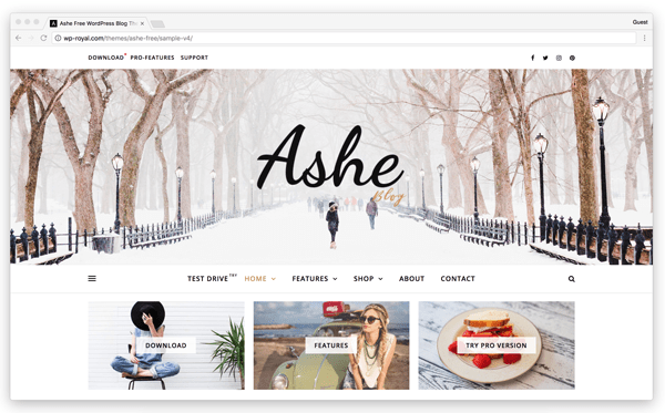 Ashe Blog - Free Version - WP Royal Themes