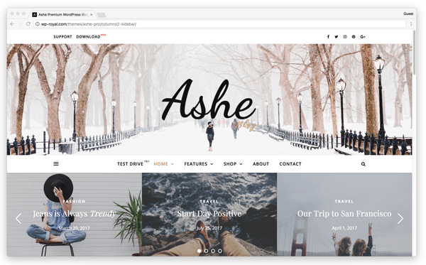 Ashe Blog - Pro Version - WP Royal Themes