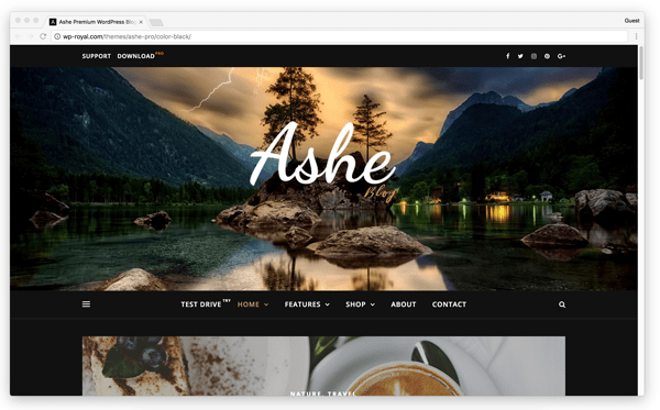 Ashe Blog - Pro Version - WP Royal Themes