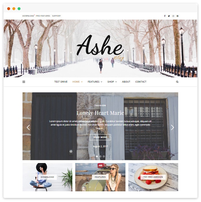 Ashe Blog - Free Version - WP Royal Themes