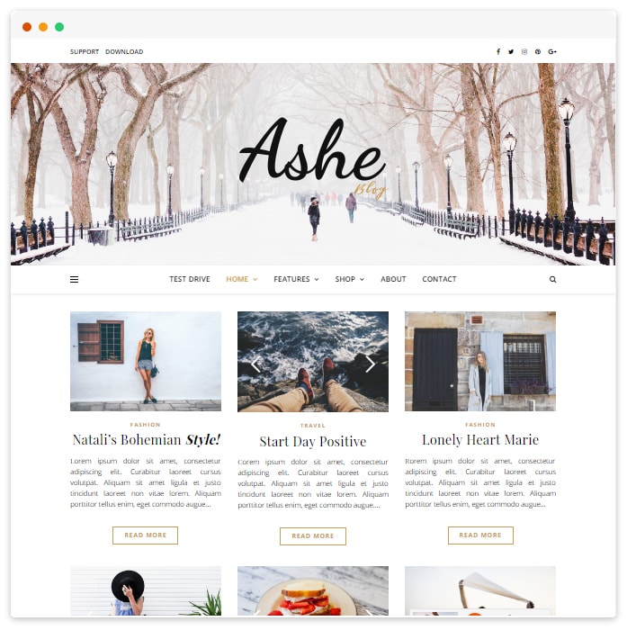 Ashe Blog - Pro Version - WP Royal Themes