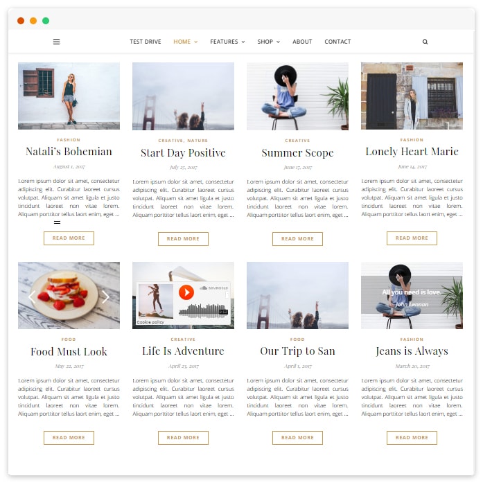 Ashe Blog - Pro Version - WP Royal Themes