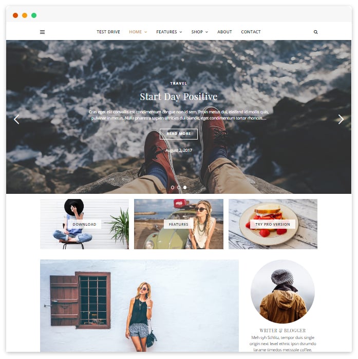 Ashe Blog - Pro Version - WP Royal Themes