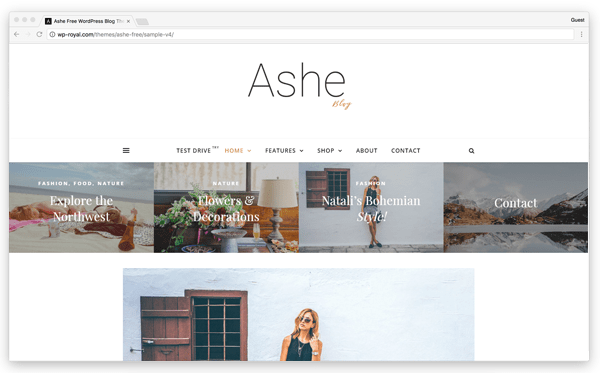 Ashe Blog - Pro Version - WP Royal Themes
