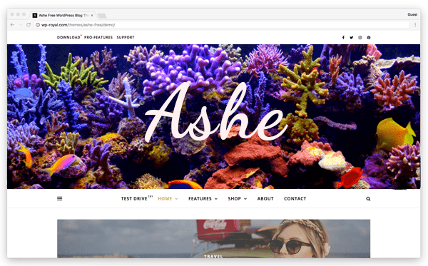 Ashe Blog - Pro Version - WP Royal Themes