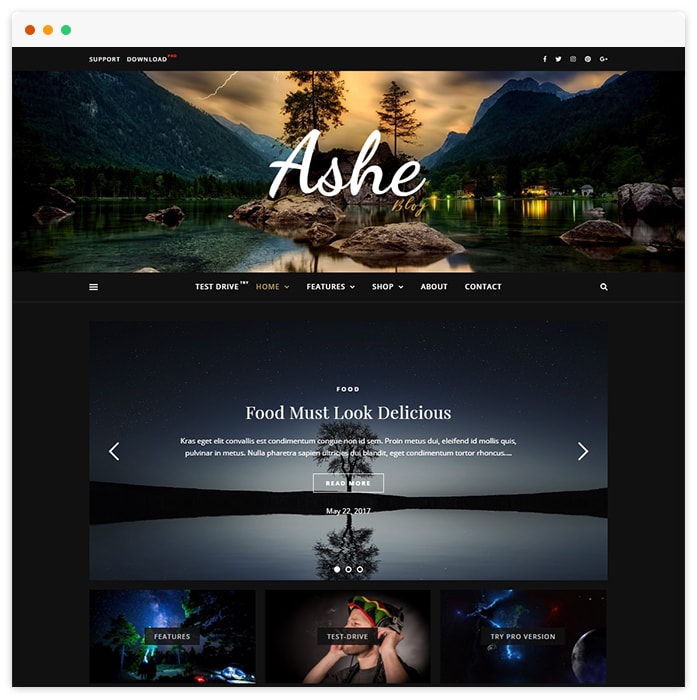 Ashe Blog - Pro Version - WP Royal Themes
