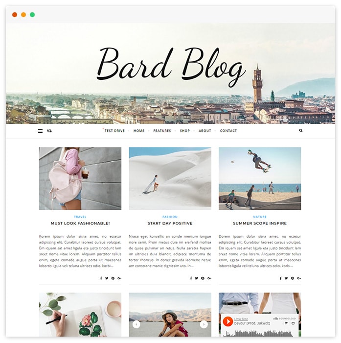 Bard Blog – Pro Version - WP Royal Themes