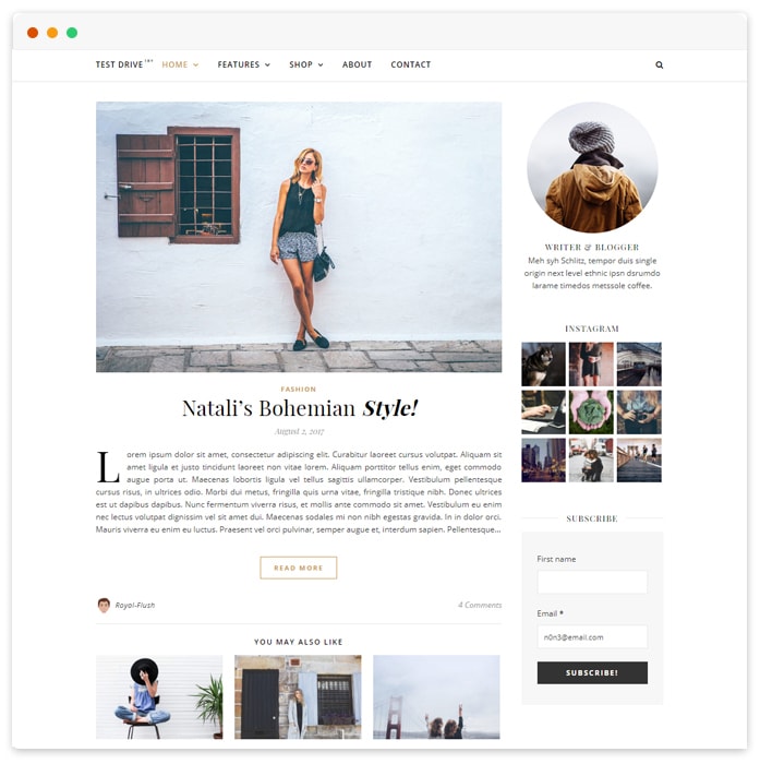Ashe Blog - Free Version - WP Royal Themes