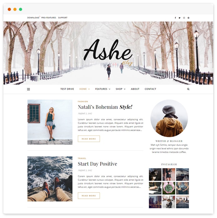 Ashe Blog - Free Version - WP Royal Themes