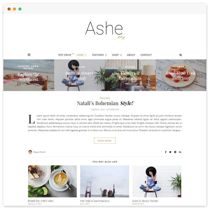 Ashe Blog - Pro Version - WP Royal Themes
